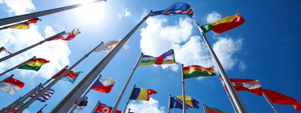 The Diplomatic Pouch | Transition Notes - ISD